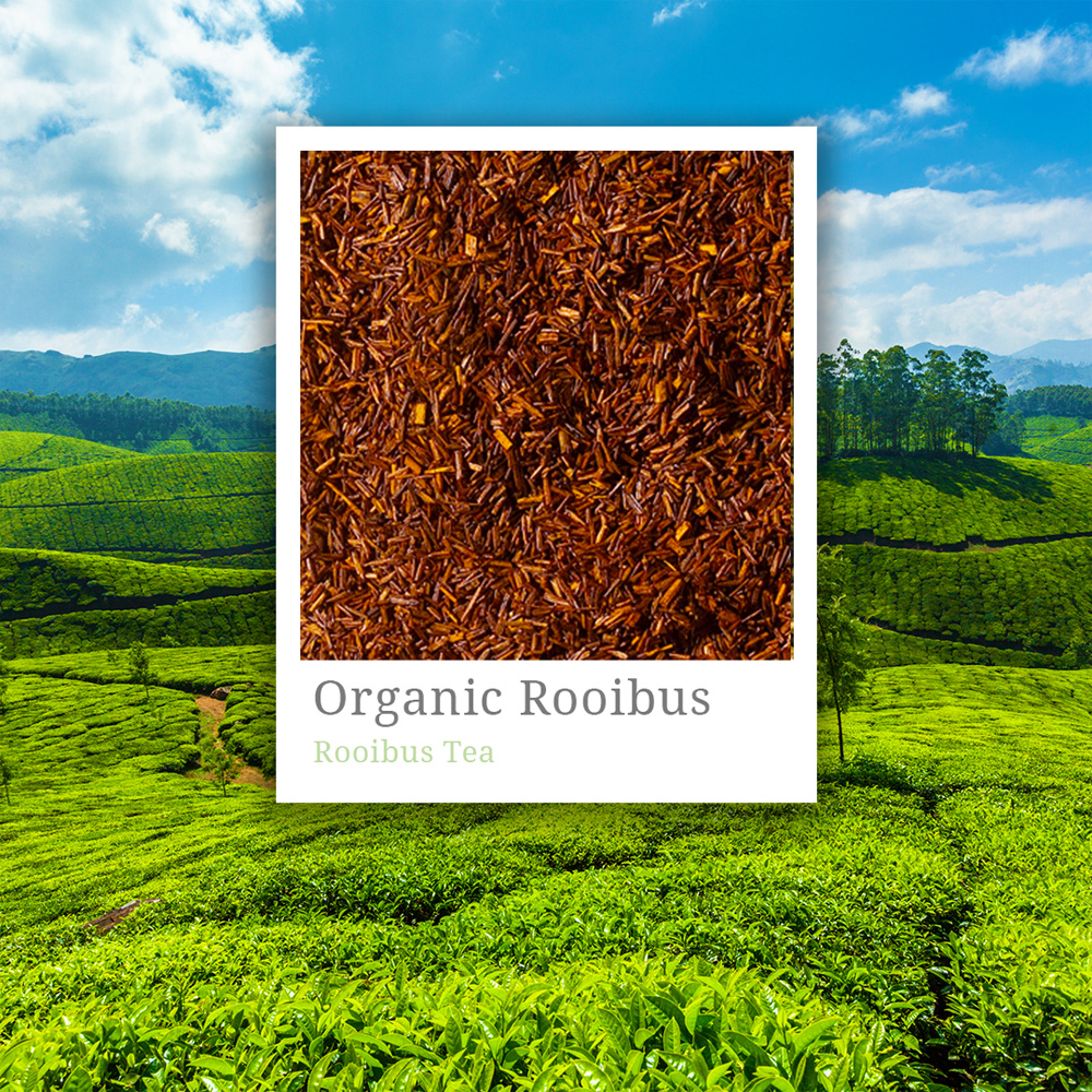 Organic Rooibus Tea | Fuji | Speciality Tea & Coffee
