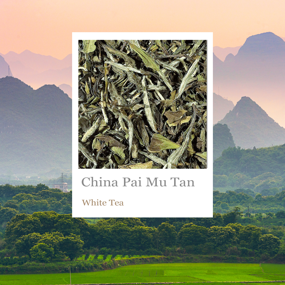 China Pai Mu Tan Tea | Fuji | Speciality Tea & Coffee